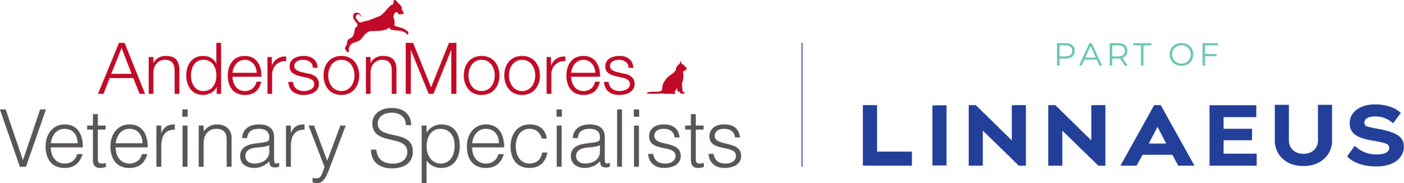 Feline Hyperthyroidism in Cats | Anderson Moores Vet Specialists