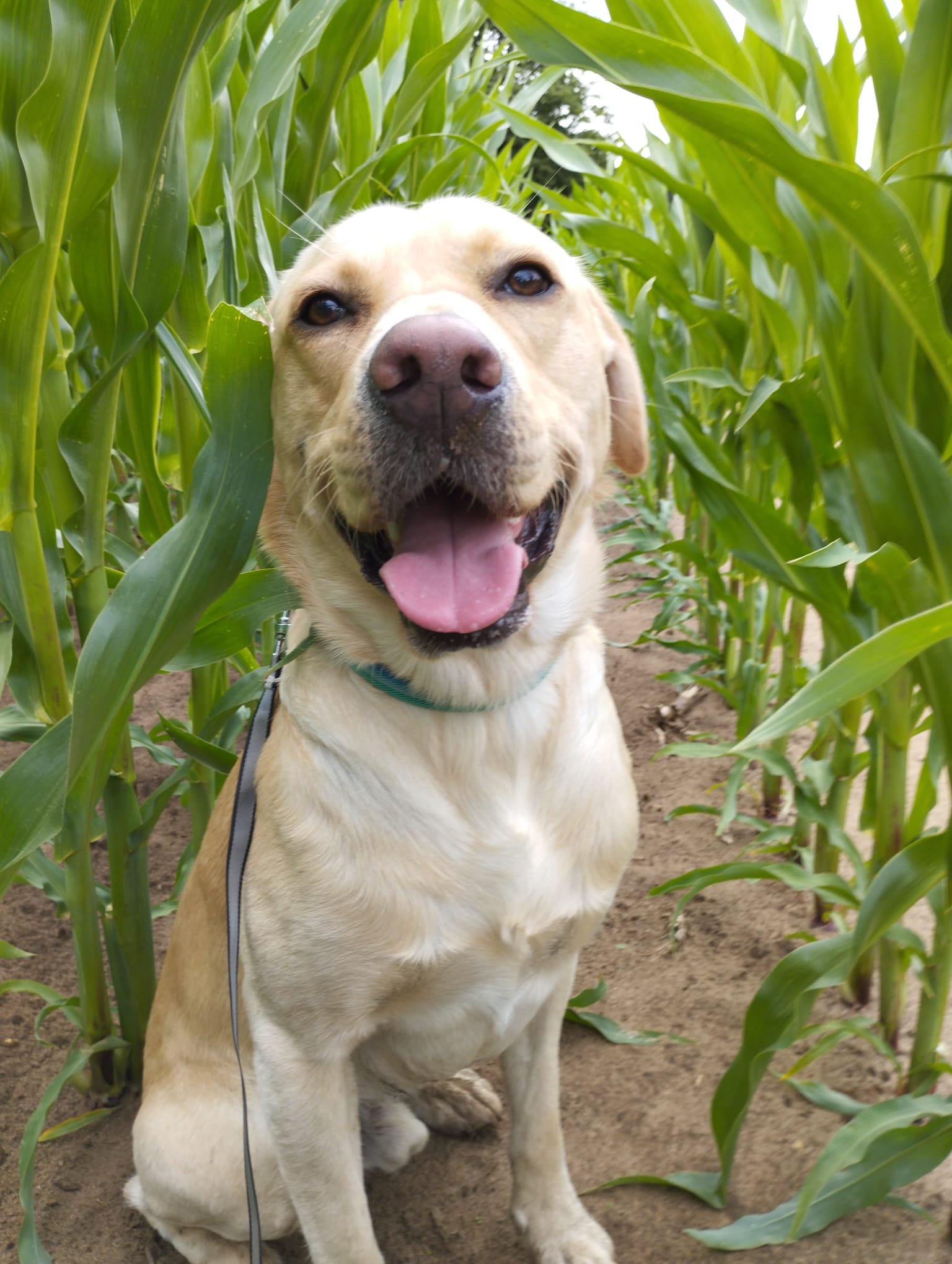 Eddie's Long Joint Journey | Anderson Moores | Winchester