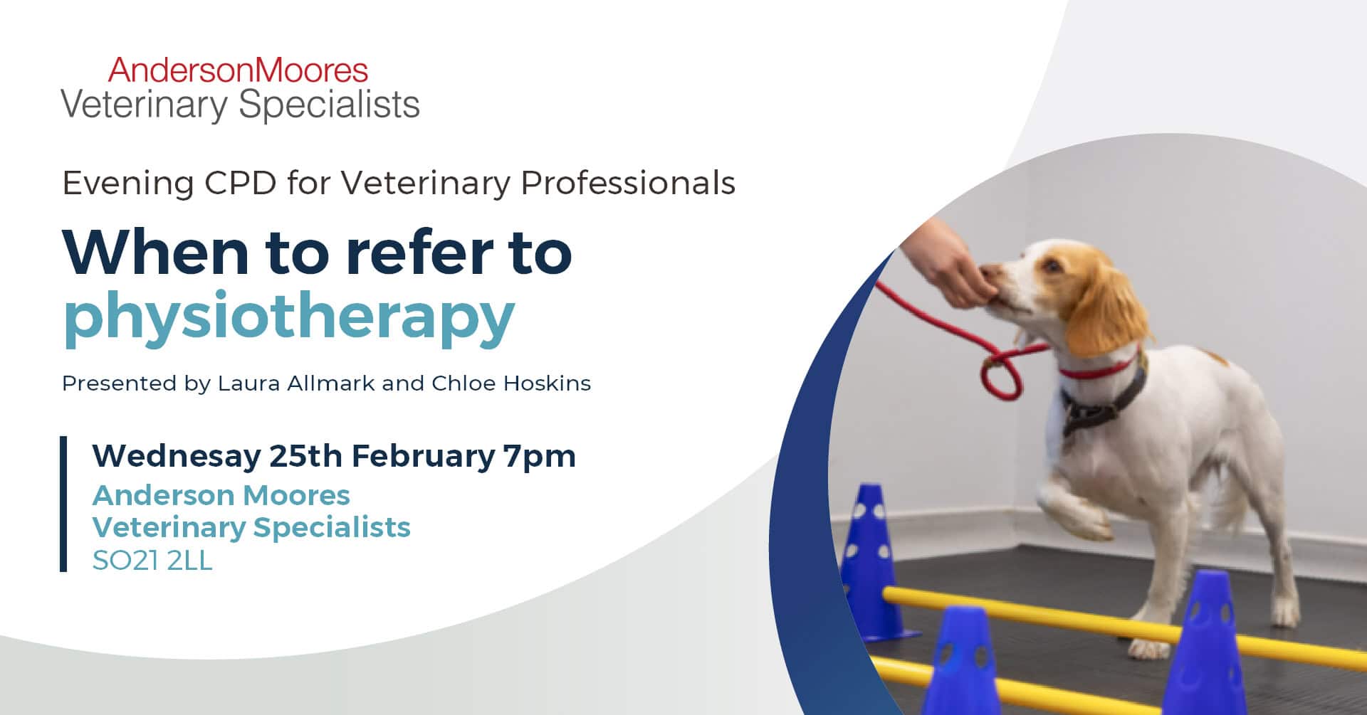 When to refer to Physiotherapy | Anderson Moores Veterinary Specialists